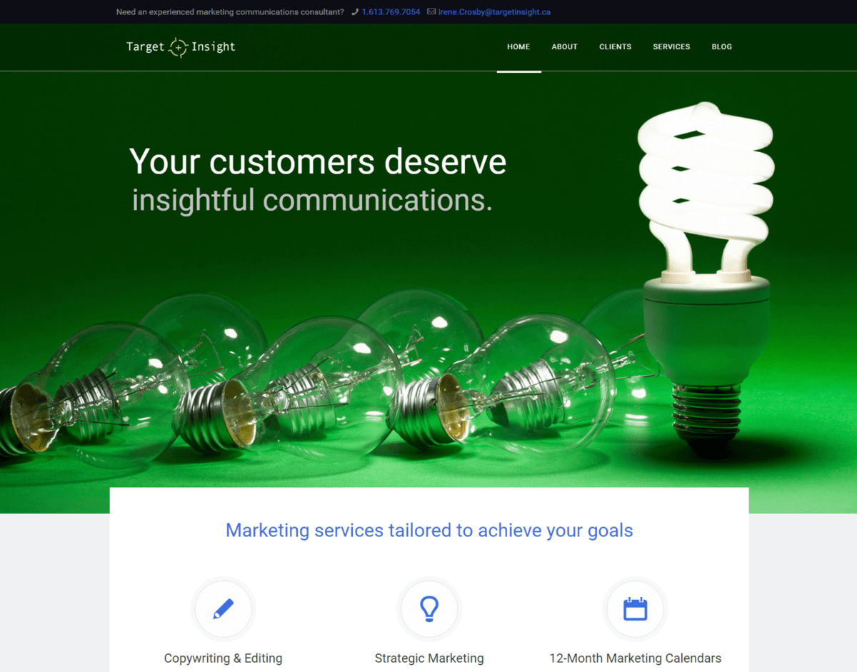 Portfolio Page for Target Insight Website Design - APM Solutions